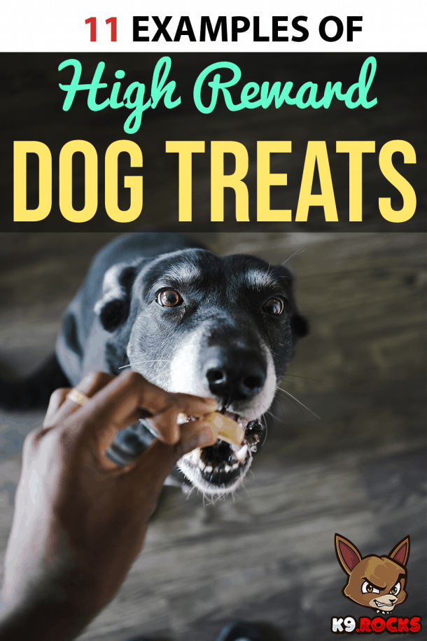 11 Examples of High Reward Dog Treats - K9 Rocks