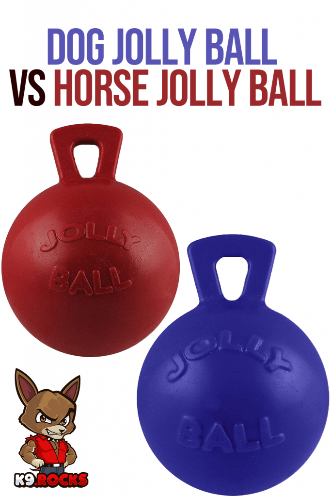 Dog Jolly Ball vs Horse Jolly Ball - K9 Rocks
