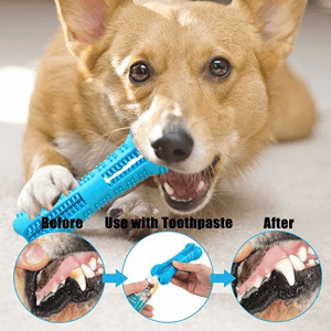 14 Best Dog Teeth Cleaning Toys - K9 Rocks