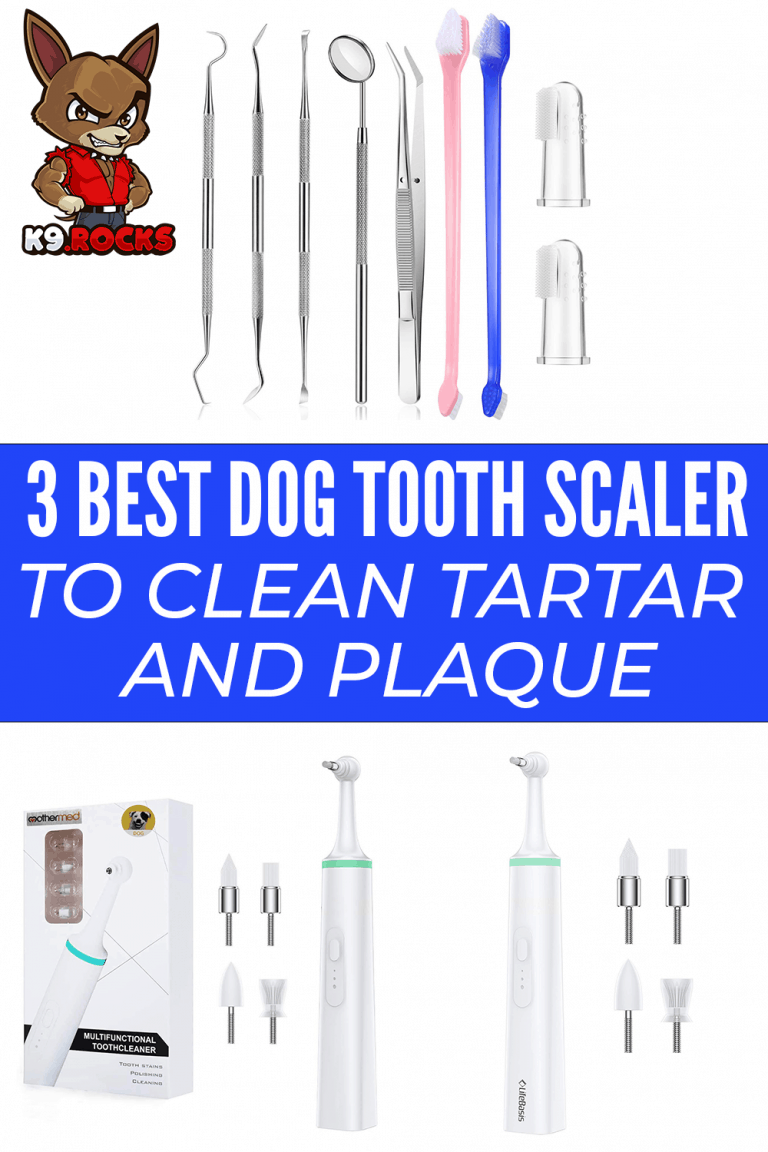 3 Best Dog Tooth Scaler to Clean Tartar and Plaque - K9 Rocks