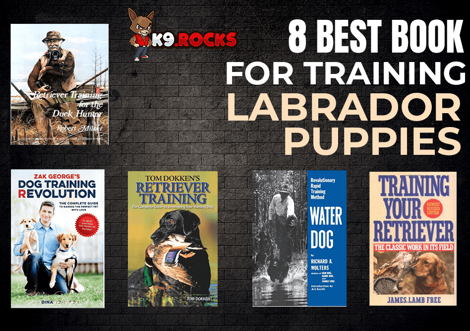8 Best Book for Training Labrador Puppies - K9 Rocks