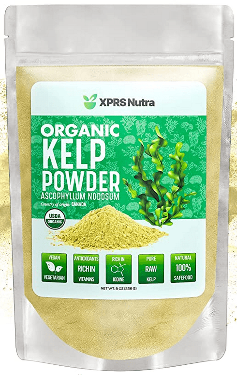 5 Best Seaweed for Dogs’ Teeth - Sea Kelp for Dental Hygiene - K9 Rocks