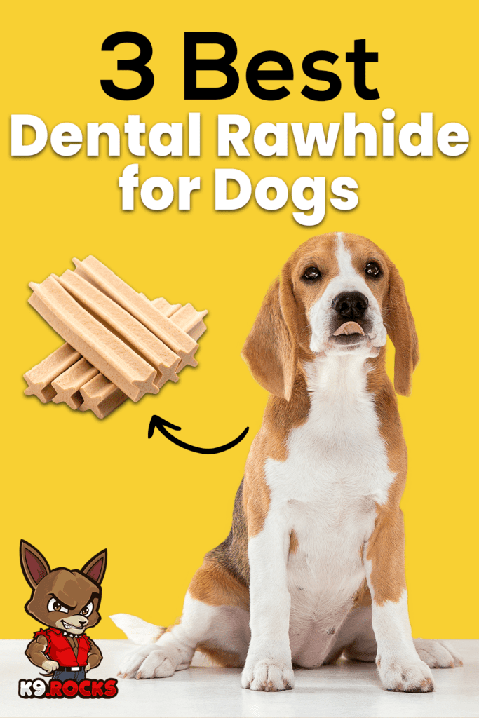 3 Best Dental Rawhide for Dogs - K9 Rocks