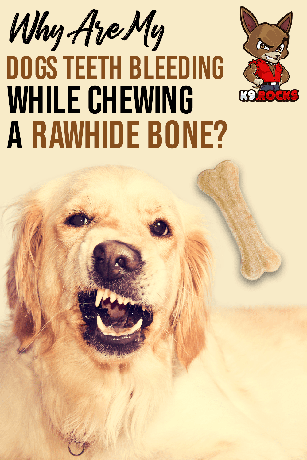 Why Are My Dogs Teeth Bleeding While Chewing A Rawhide Bone K9 Rocks