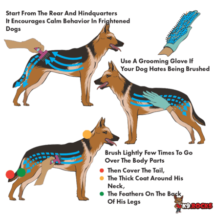 The Proper Technique for Brushing a German Shepherd - K9 Rocks