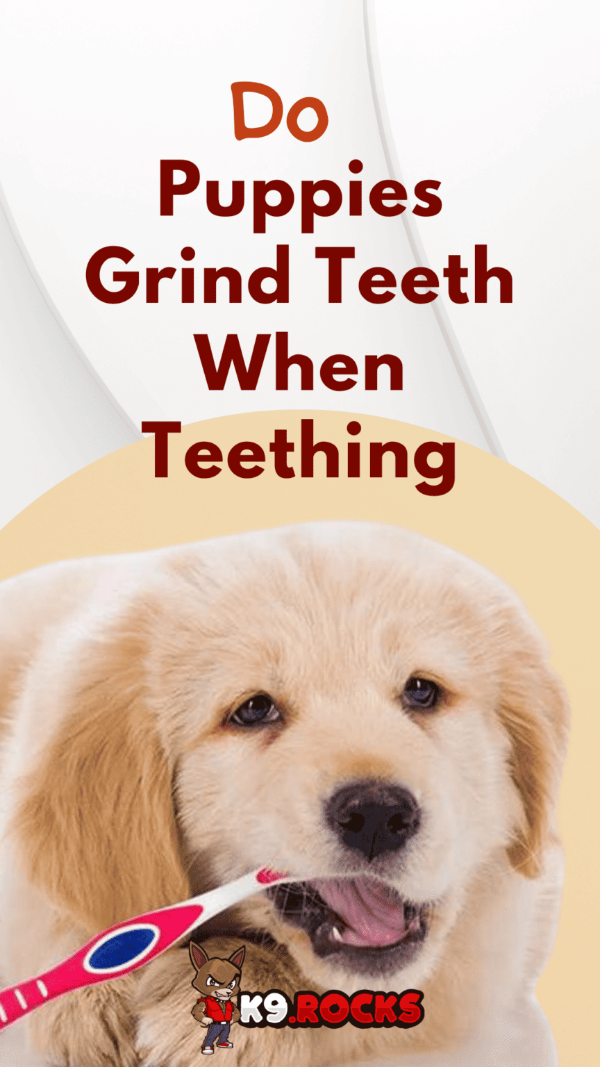 Do Puppies Grind Teeth When Teething? - K9 Rocks