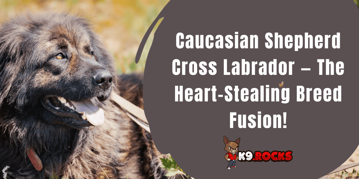 Caucasian Shepherd Cross Labrador — The Heart-Stealing Breed Fusion ...