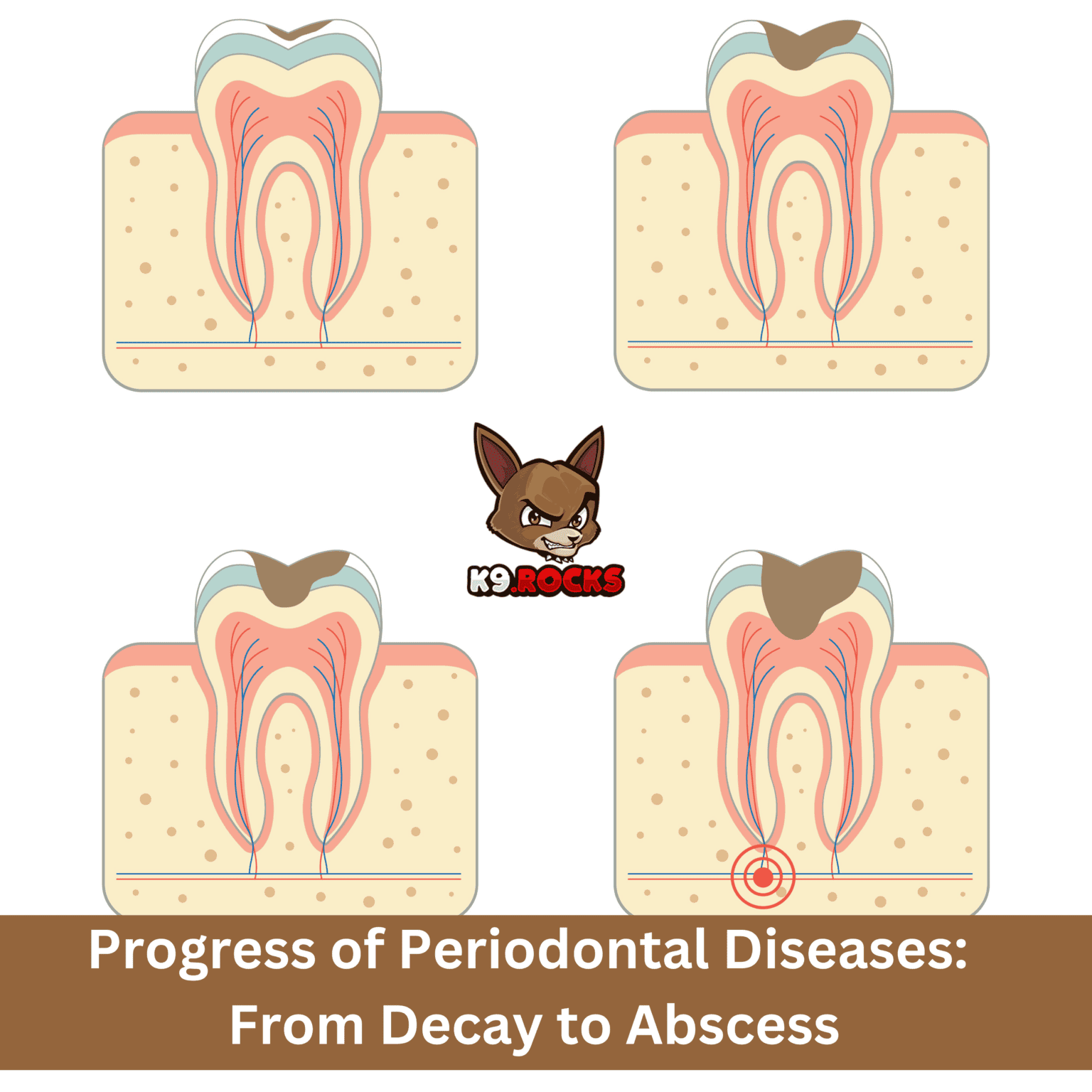 Dog Tooth Abscess: Unveiling Hidden Risks and Treatments - K9 Rocks