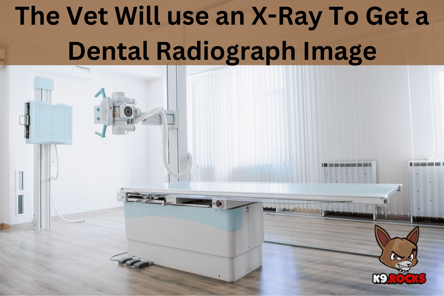 Dog Tooth Abscess: Unveiling Hidden Risks and Treatments - K9 Rocks